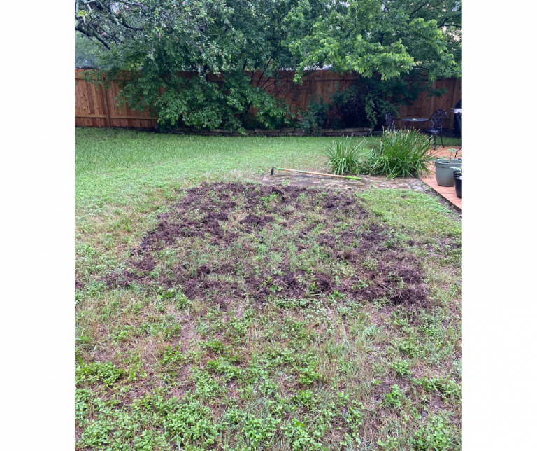 How to start an in-ground garden from scratch! - Meggie Claire