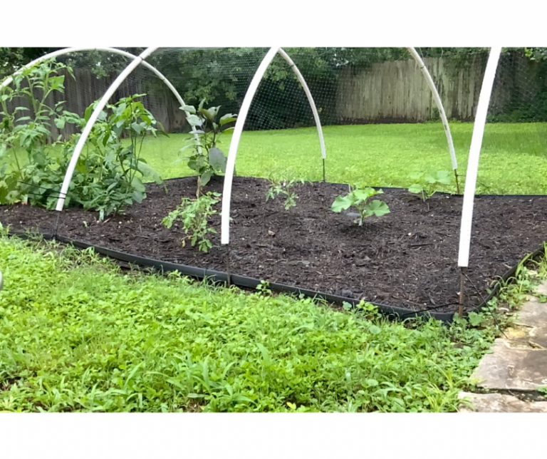 How to start an in-ground garden from scratch! - Meggie Claire